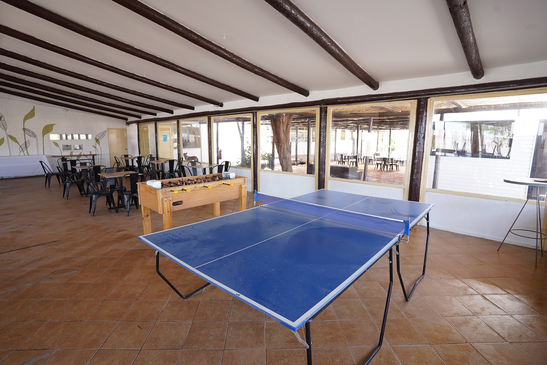 Terrazol – Aloja Pozo Almonte