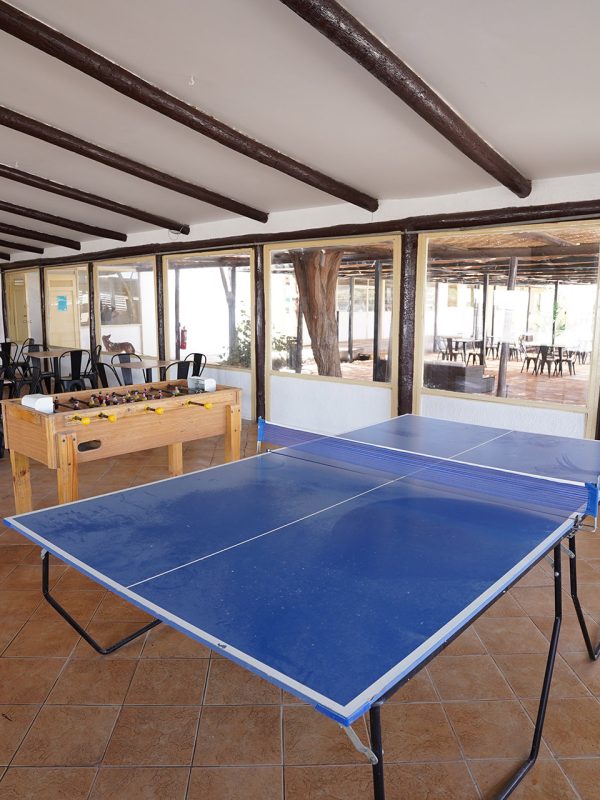 Terrazol – Aloja Pozo Almonte